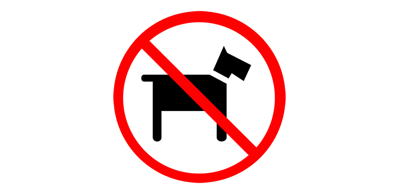 School Property - Arbour Lake School